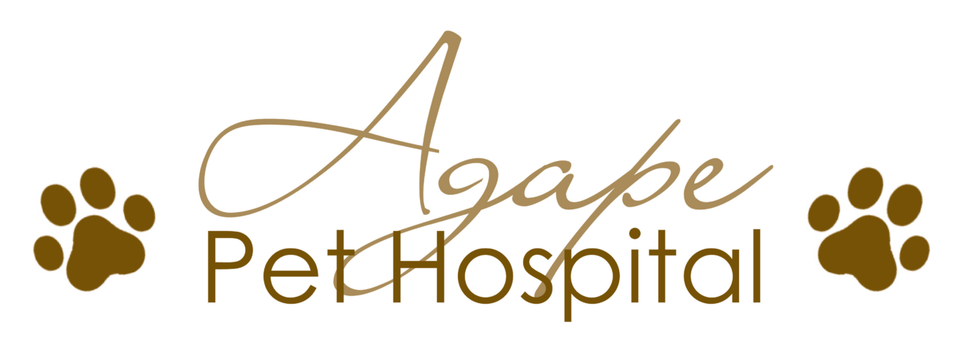 Welcome - Longview PTO